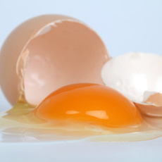 Eier & Eiprodukte | Nds. Landesamt für Verbraucherschutz und ...